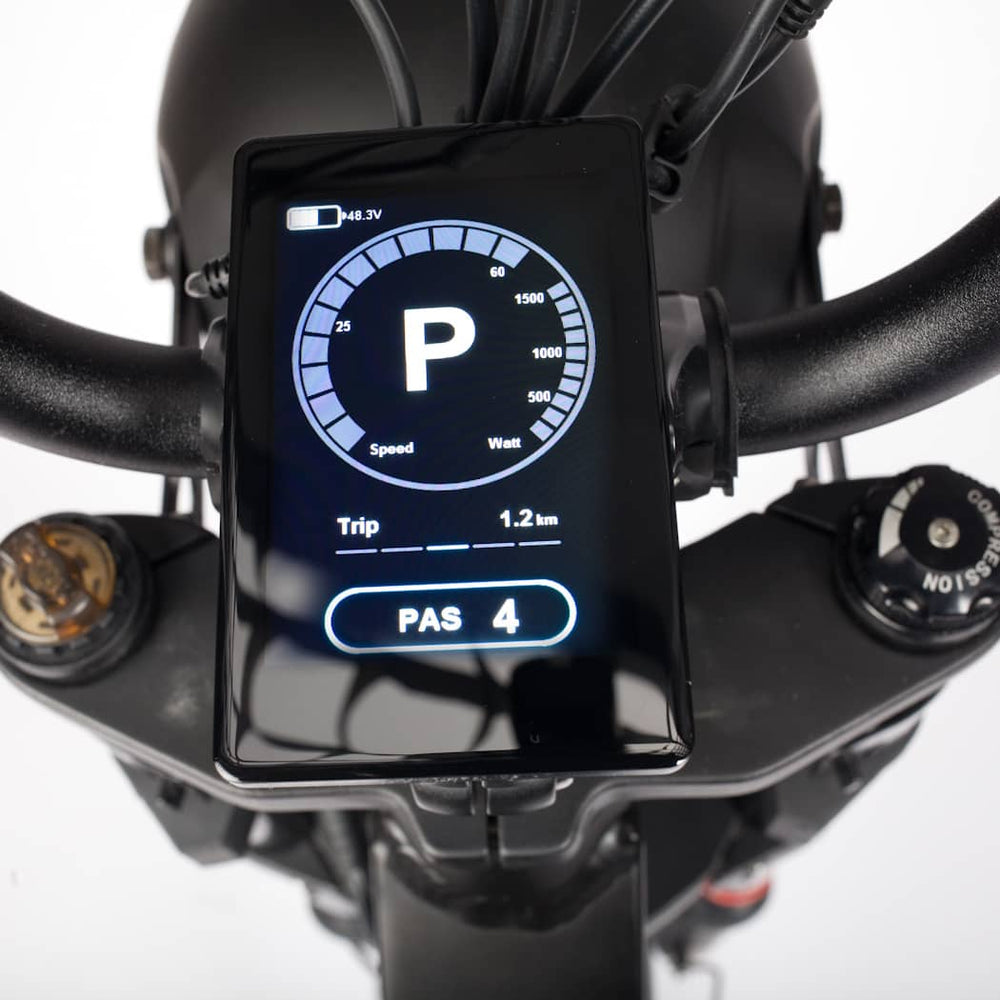 Bluerev Warrior Fat Tire E-Bike - Street Rides